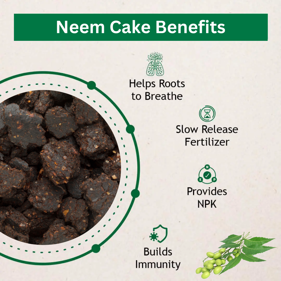 Organic Neem Cake Fertilizer for plants - Pest Control - نیم کیک ...