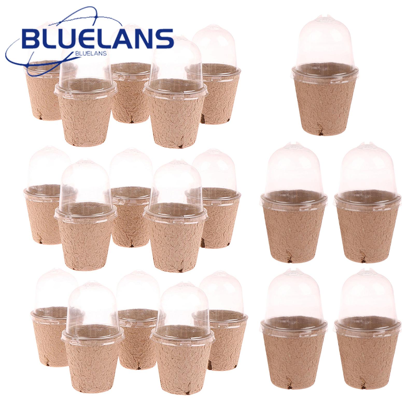 Plant Grow Pot Biodegradable Plant Nursery Pots with Humidity Dome Eco ...