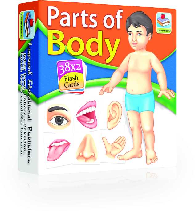 Early Learners Small Flash Cards Of Parts Of Body Pocket Size Export ...