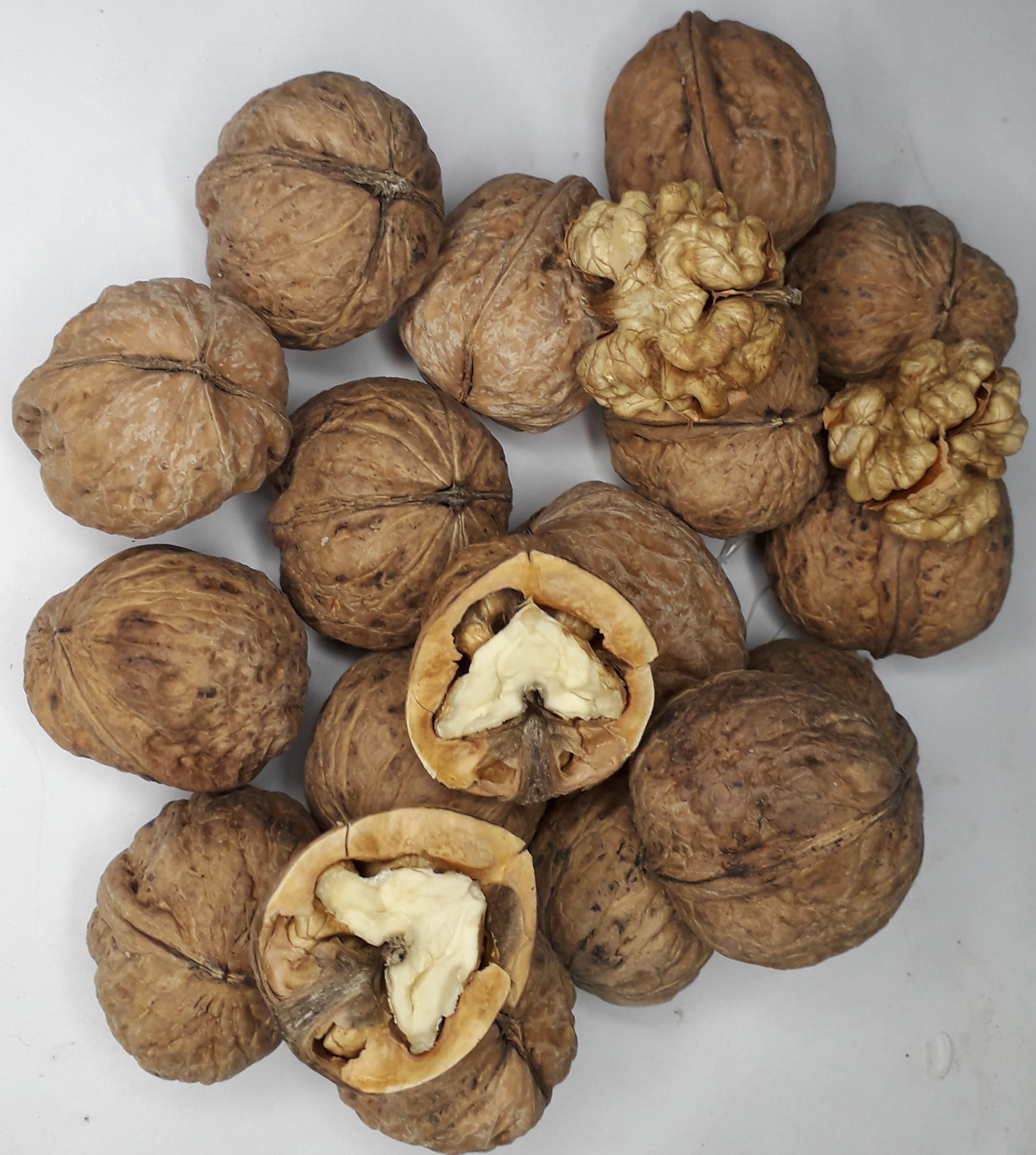 Walnuts - Ghizer - Hunza - Gilgit Baltistan - Akhrot - Fine Quality ...