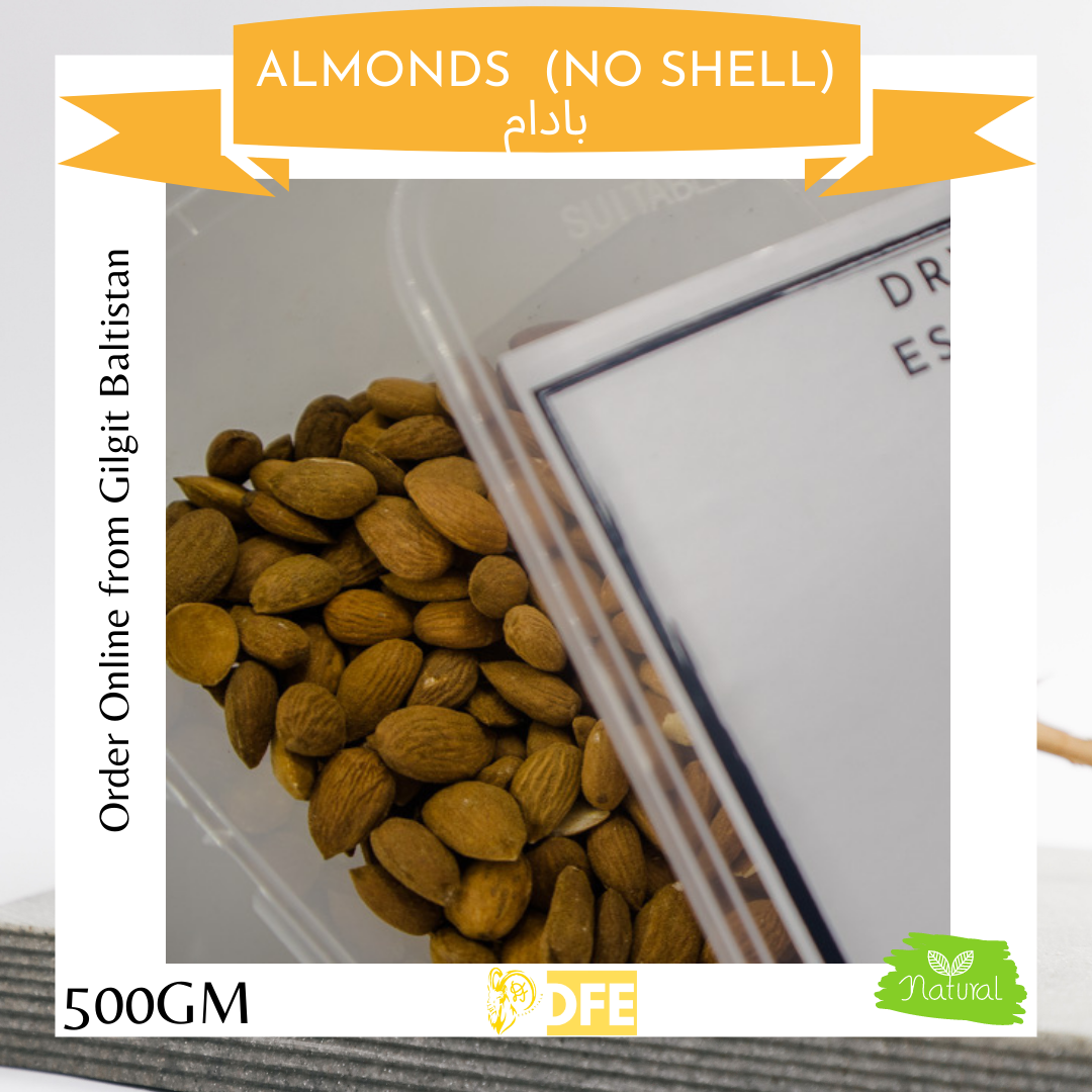 Badaam - Almonds Without Shell 500GM Best quality almonds from Gilgit ...