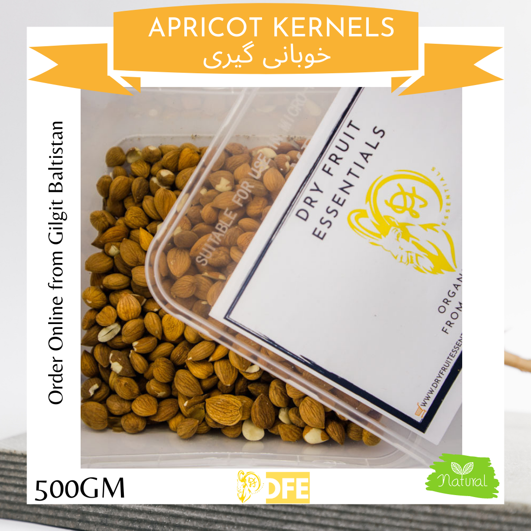 Apricot Kernels Khubani Geeri From Gilgit Baltistan 500GM | Daraz.pk